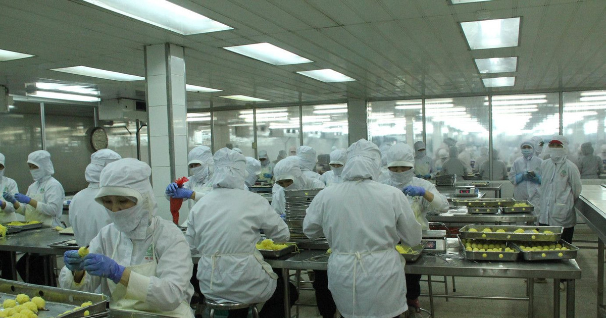 Agrex Saigon bị phạt 60 triệu đồng vì vi phạm công bố thông tin ...