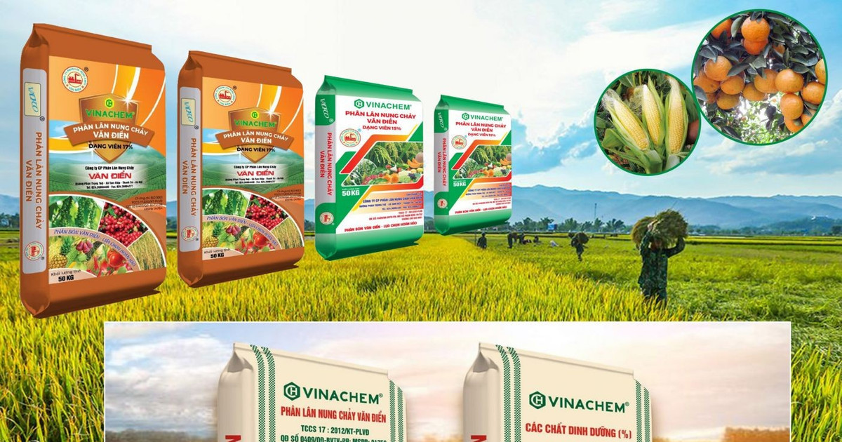 VAF bị kiểm soát do vấn đề kiểm toán | Thương gia - Thông tin cập nhật ...