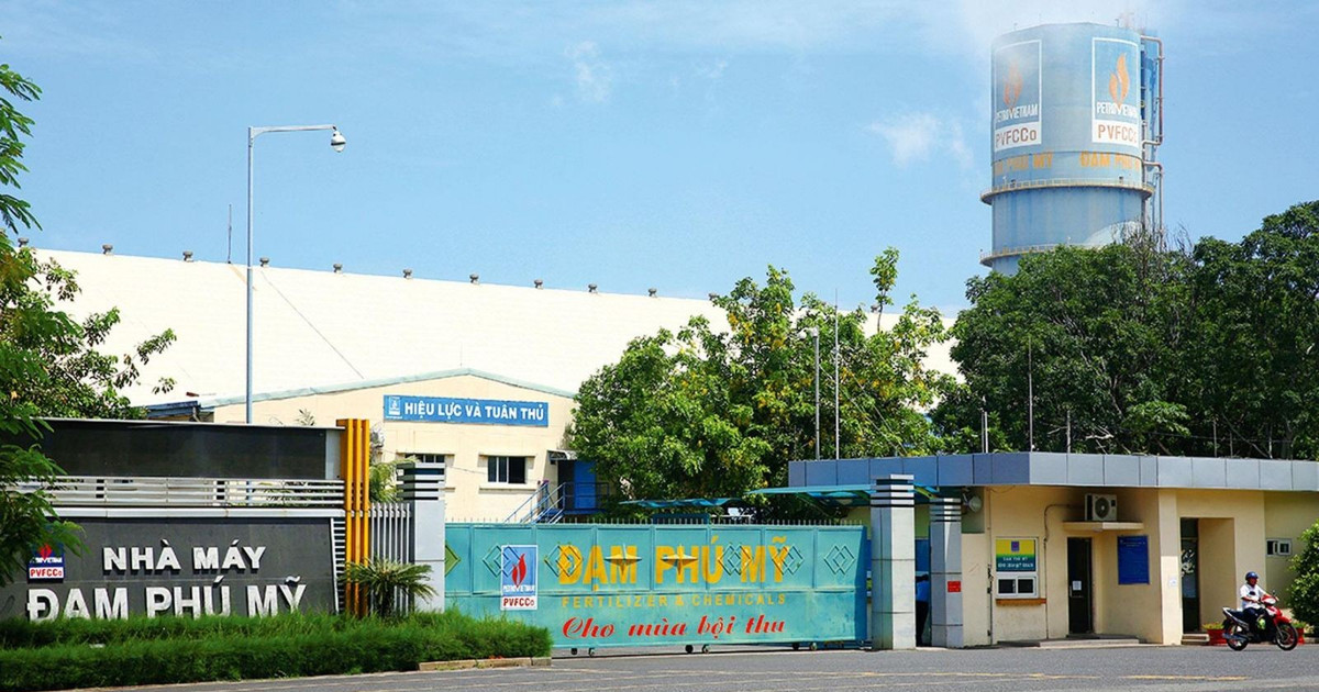 DPM vượt kế hoạch lợi nhuận sau thuế gần 6%, triển vọng 2025 tích cực