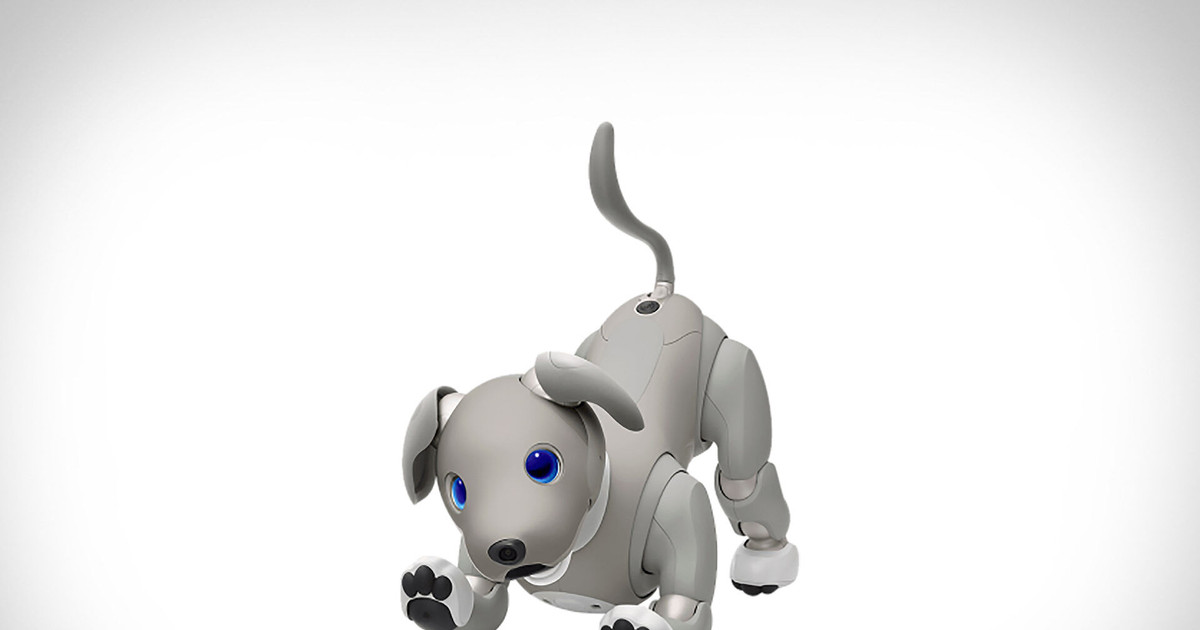 Sony ra mắt chú chó Robot Aibo phiên bản giới hạn | Thương gia - Thông tin cập nhật, quan điểm ...